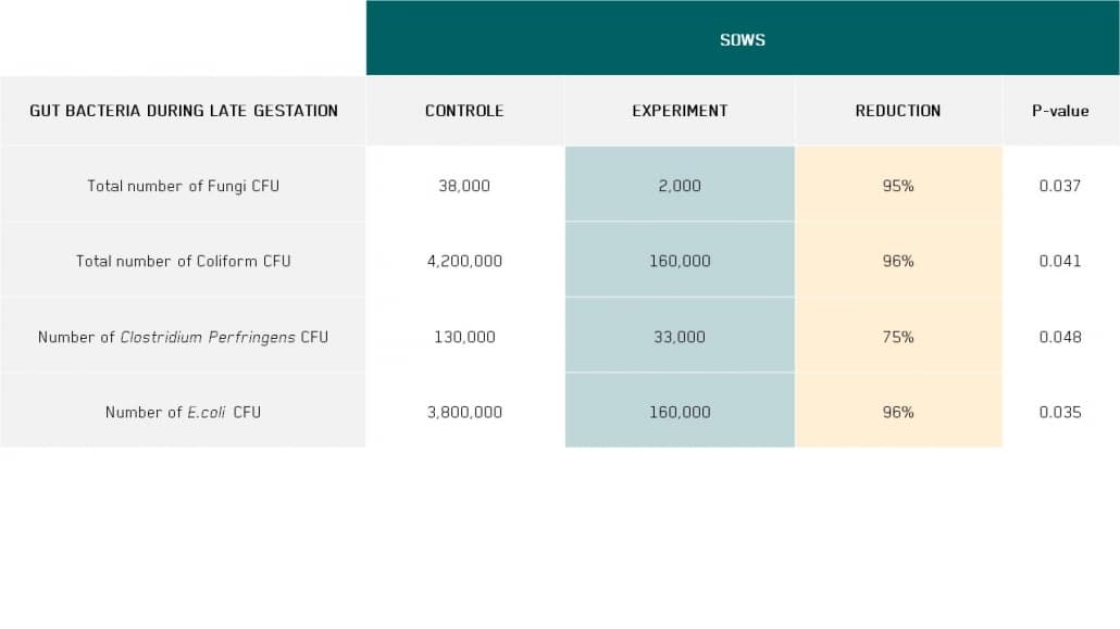 Want more uniform and vital piglets? | Learn how >