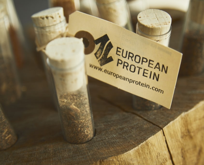 Jobs | European Protein