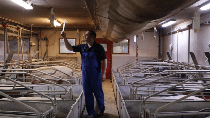 How a pig producer boosted the sows milk yield | Watch the case >
